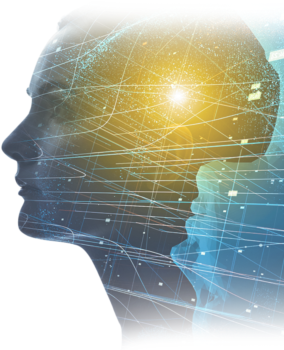 TEIQue: The hub for Trait Emotional Intelligence - TEIQue